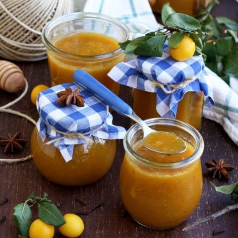 Sugar Free Wild Plum Jam • Happy Kitchen