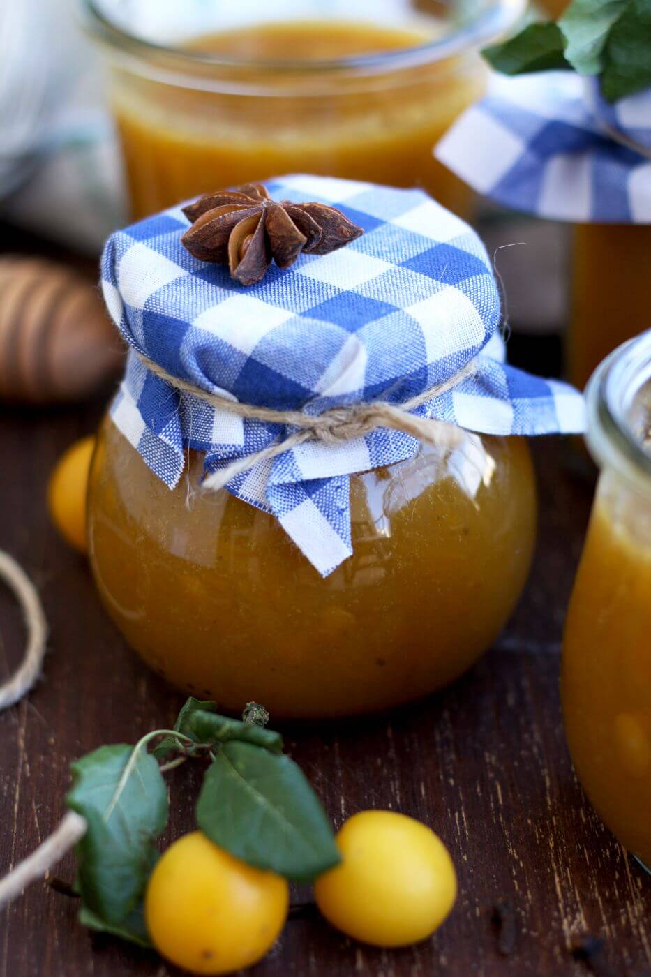 Sugar Free Wild Plum Jam • Happy Kitchen