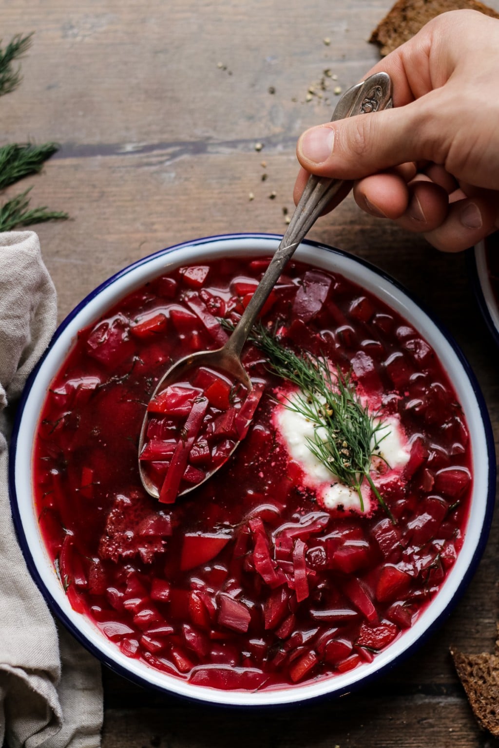 Easy Vegetarian Borscht Soup • Happy Kitchen