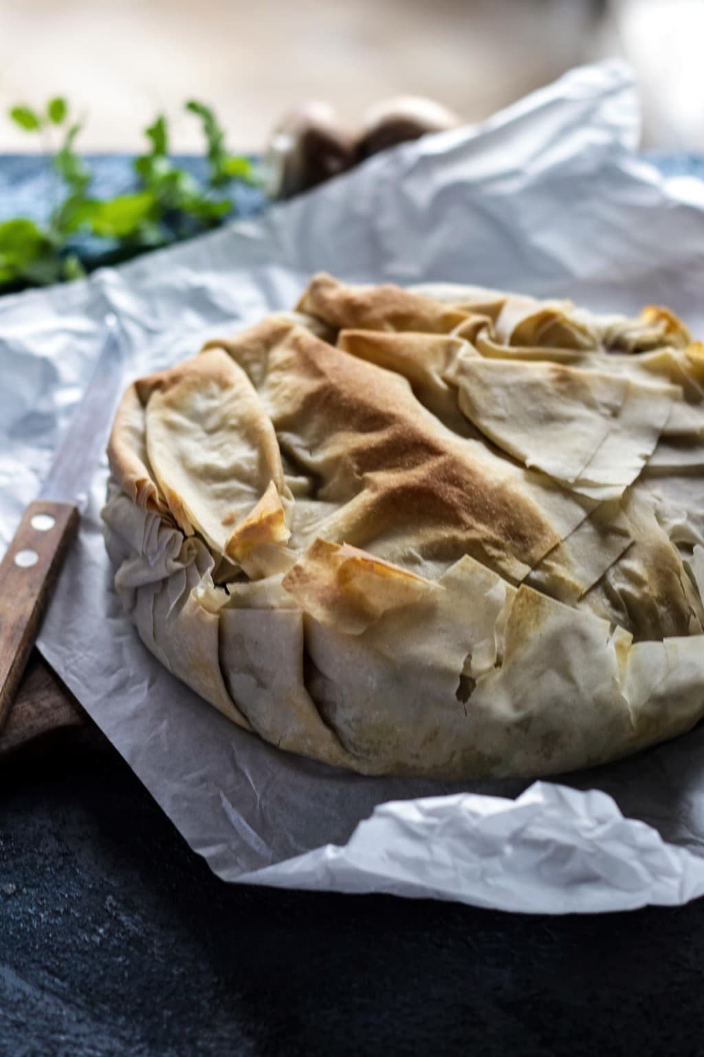 Vegan Pot Pie with Filo Crust • Happy Kitchen